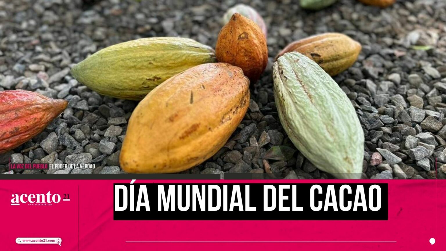 Día Mundial del Cacao: Importancia y Usos - Acento 21