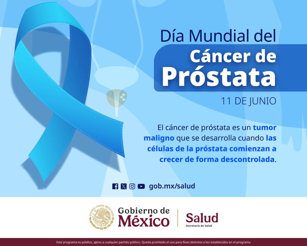 Día Mundial de la Lucha contra el Cáncer de Próstata: La enfermedad ...